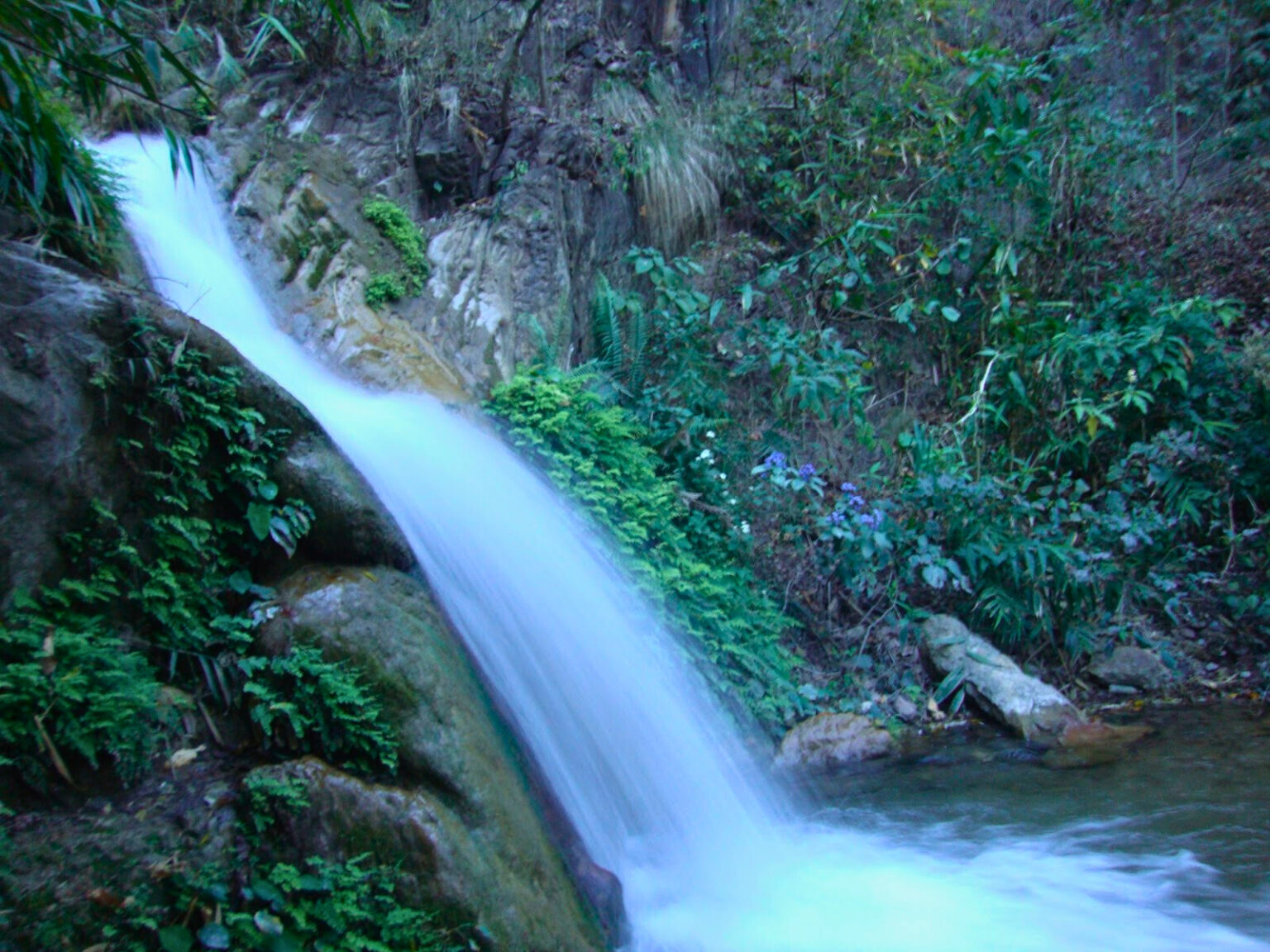 Garud Chatti Waterfall Trek- Trekking in Rishikesh - Skyard Hostels Blog